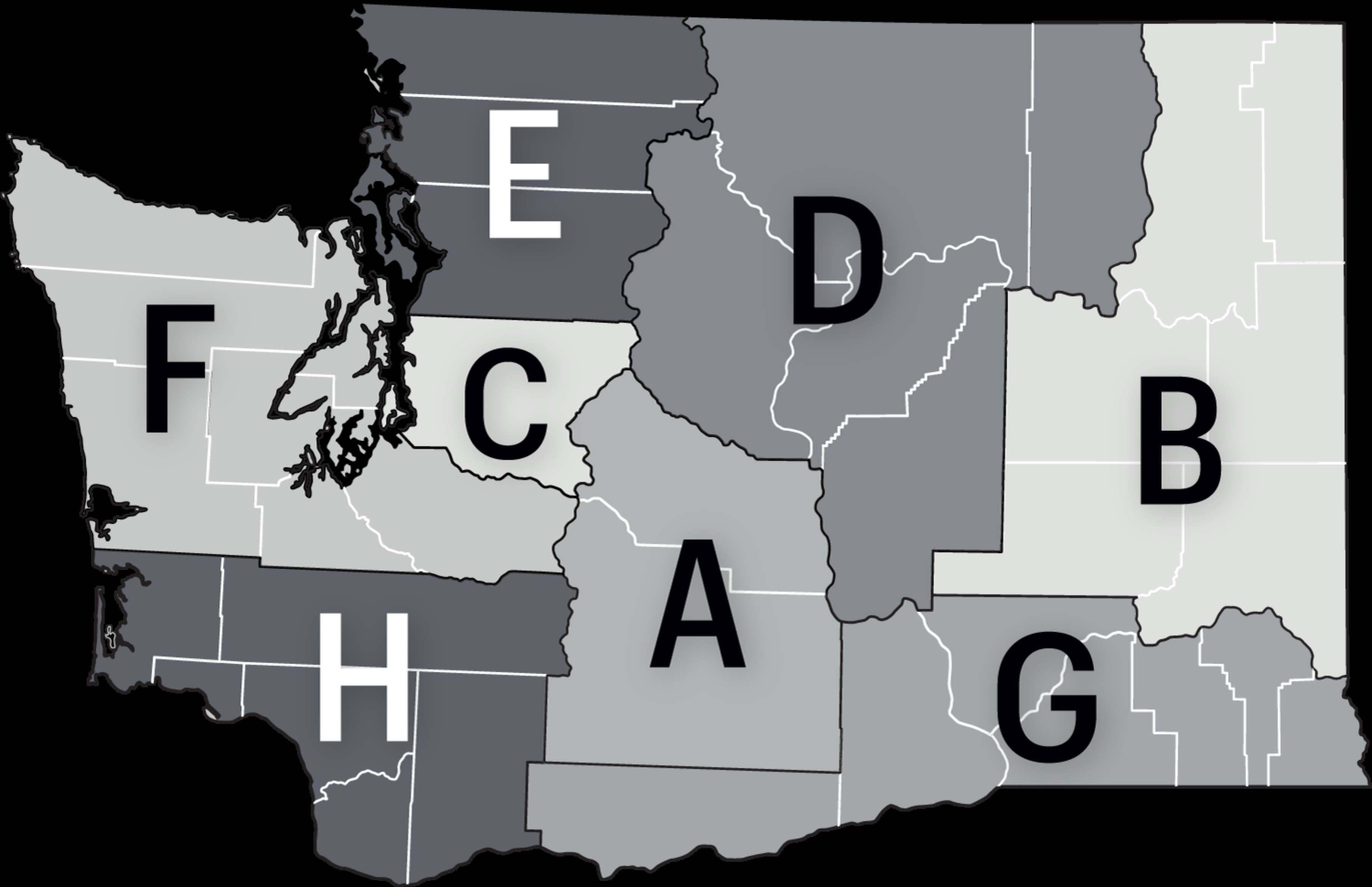 Regional and district nurses associations - WSNA