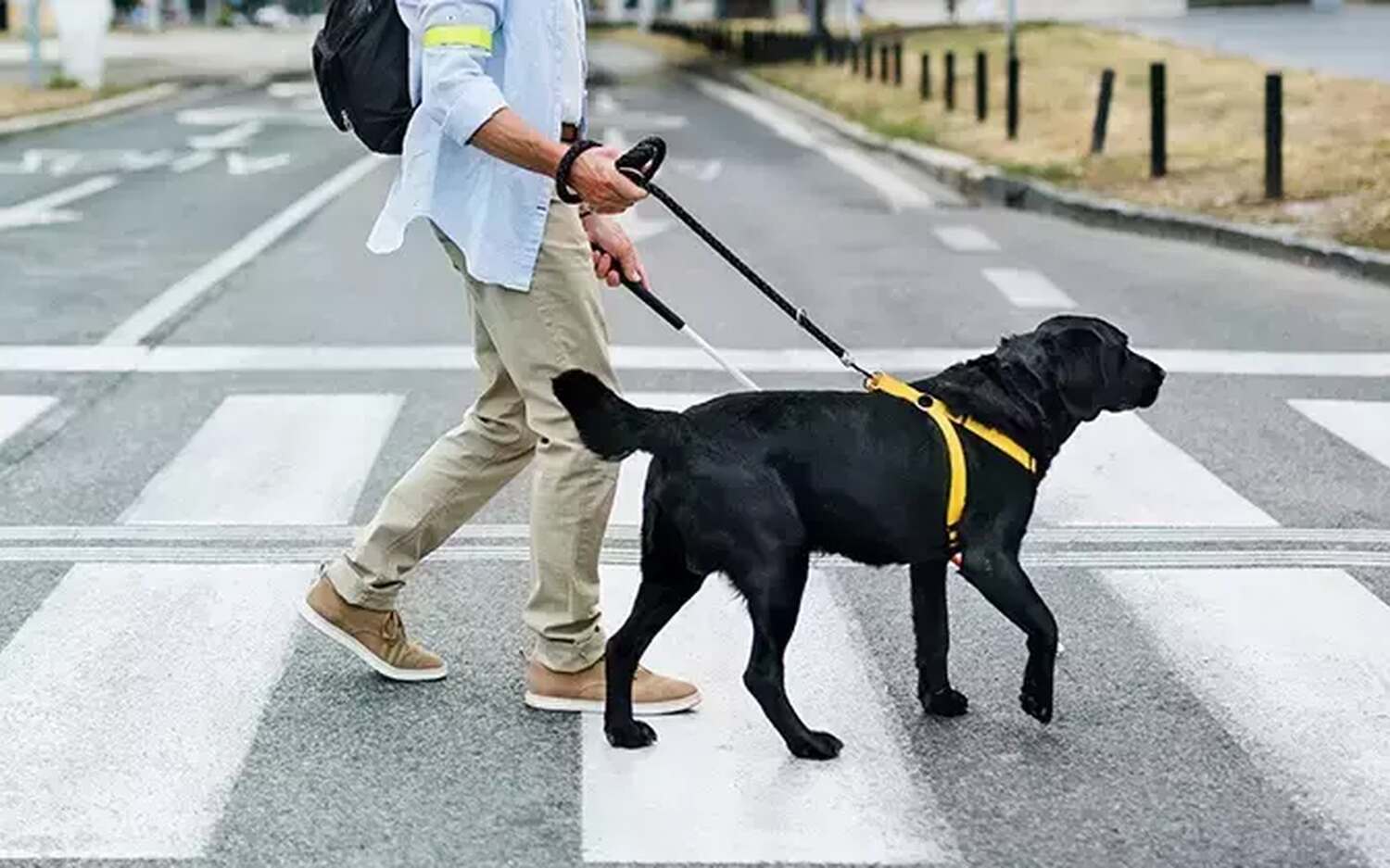 Washington State Nurses Association - WSNA