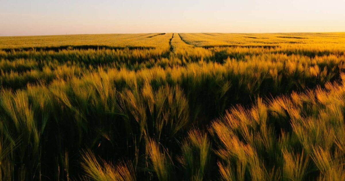 WSNA members featured in national story on rural healthcare - WSNA